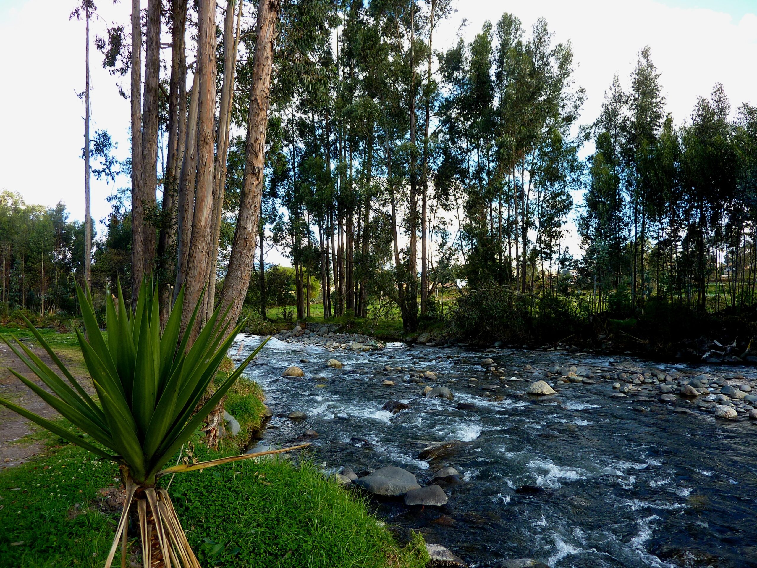 Cuenca, Ecuador: Outside in the City of Four Rivers